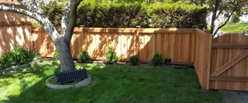 A Quick Guide to Choosing the Right Fence for Your Yard – CheaperFence