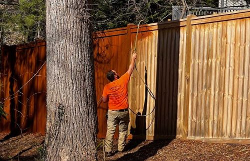 Paint vs. Stain: Choosing the Perfect Finish for Your Privacy Fence ...